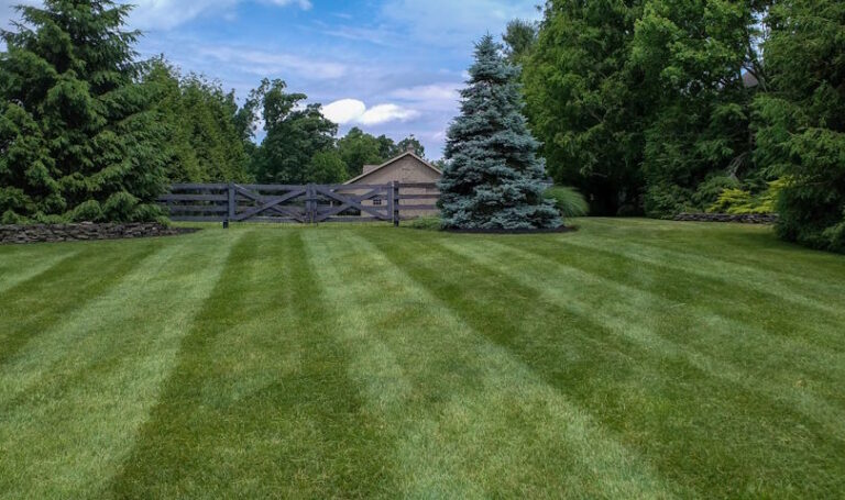 How to Mow Straight Lines with a Zero Turn Lawn Mower (Simple!)
